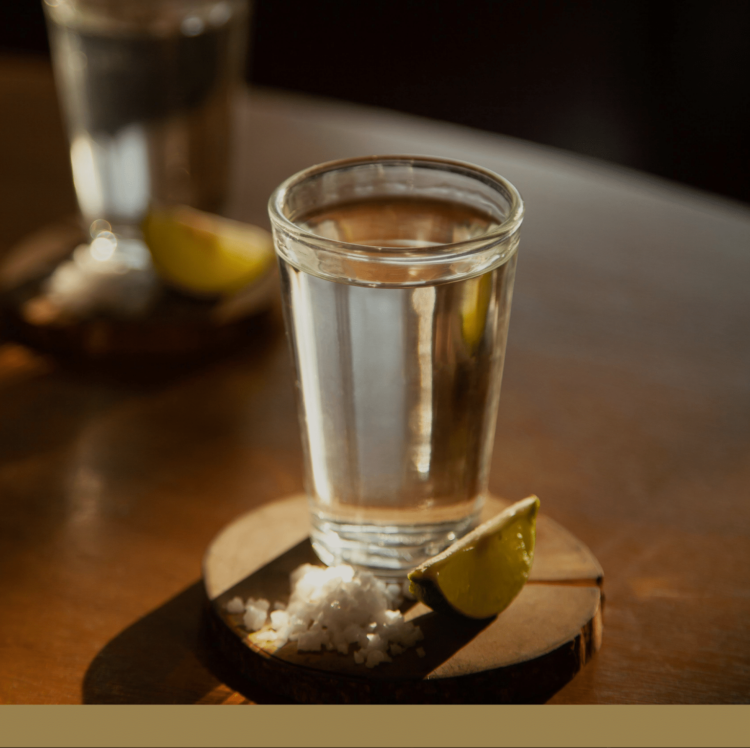 Explore Tequila | The Fox Hole | Tequila Experience